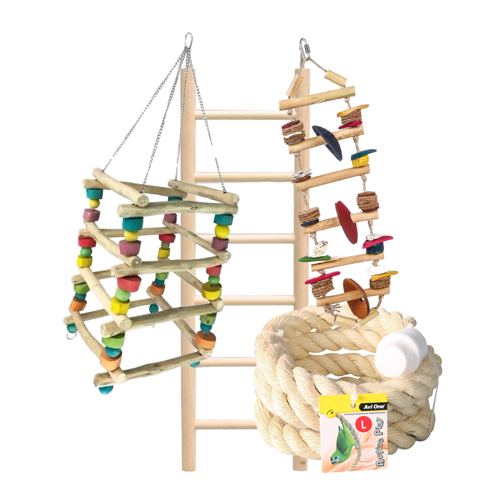 Bird Ladders & Climbing Nets – Get Flocked