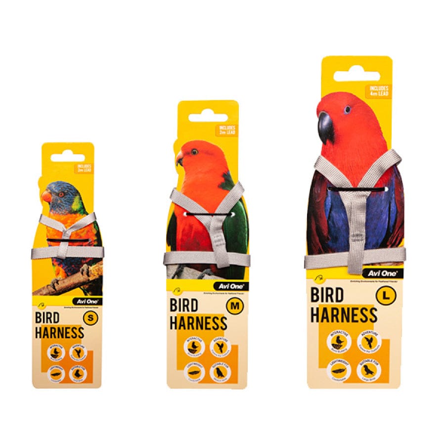 Buy Avi One Bird Harness with Shock Resistant Lead Online | Get Flocked