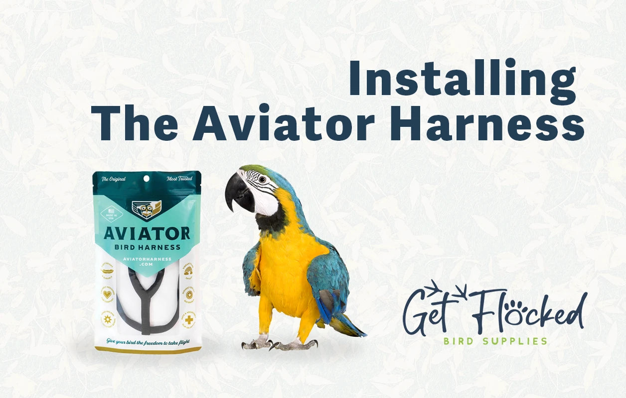 Installing The Aviator Harness – Get Flocked