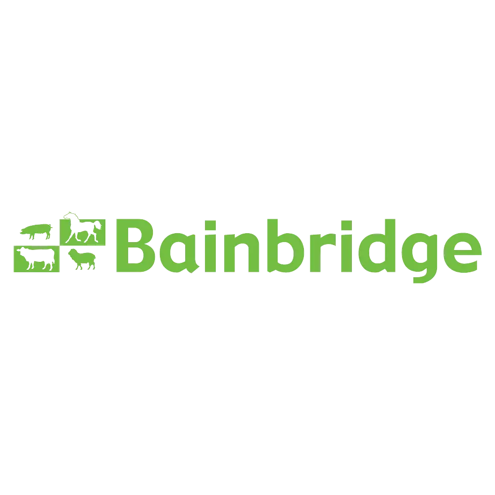 Bainbridge – Get Flocked