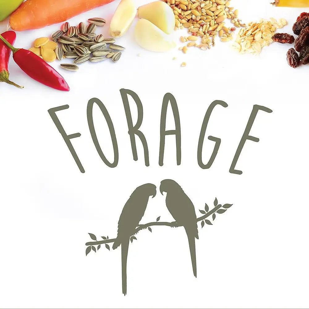 Forage Gourmet Range – Get Flocked