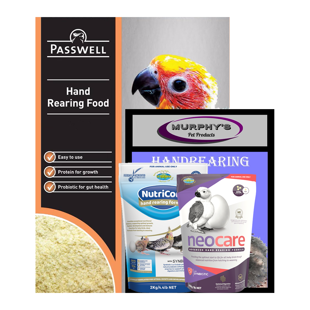 Hand Rearing – Get Flocked