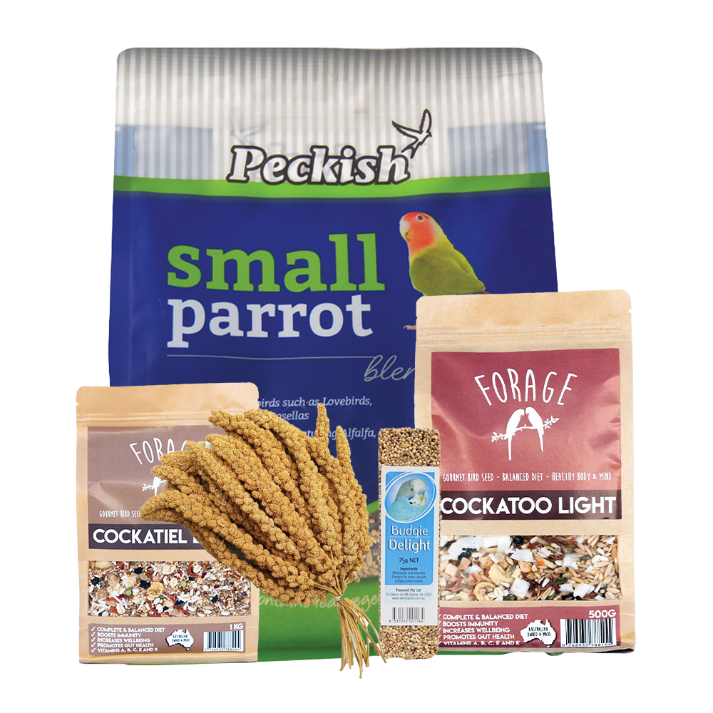 Seeds – Get Flocked