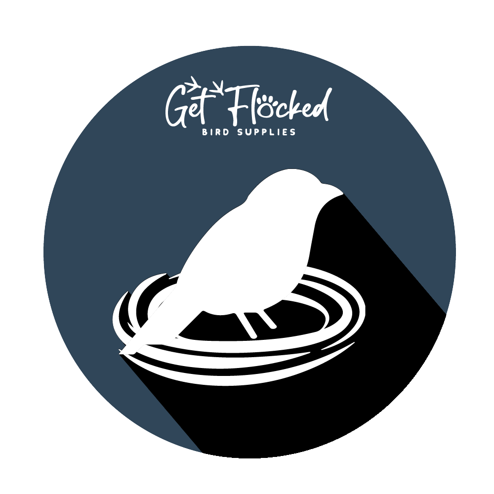 The Nest – Get Flocked