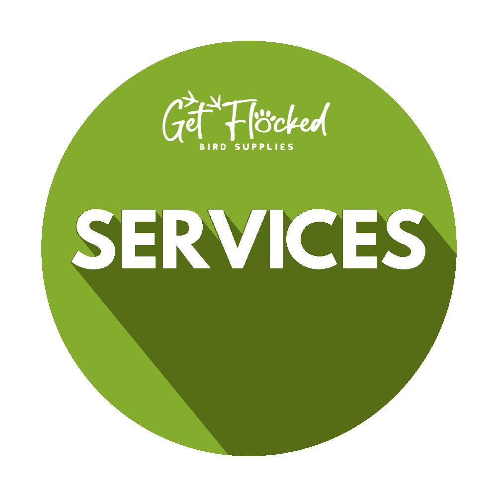 Services – Get Flocked