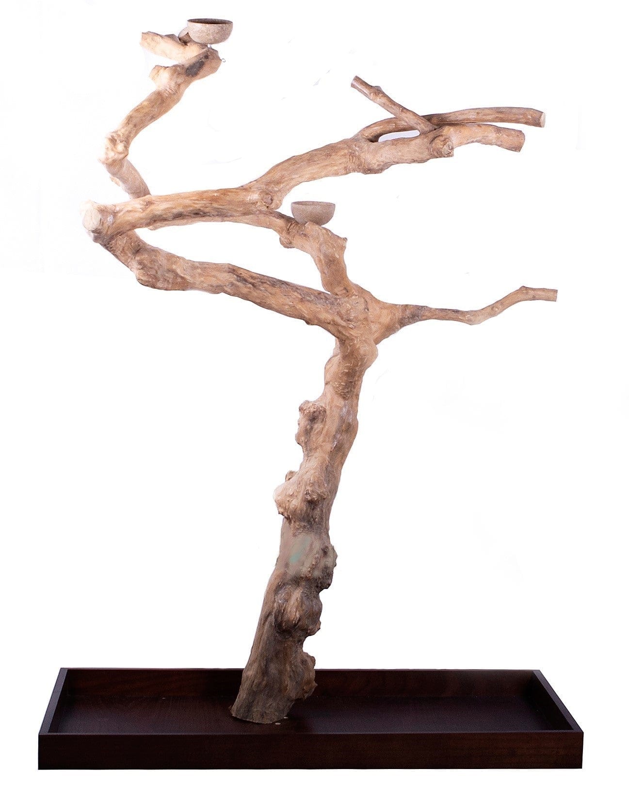 Buy Nino's Java Floor Stand (In-Store Only) Online | Get Flocked